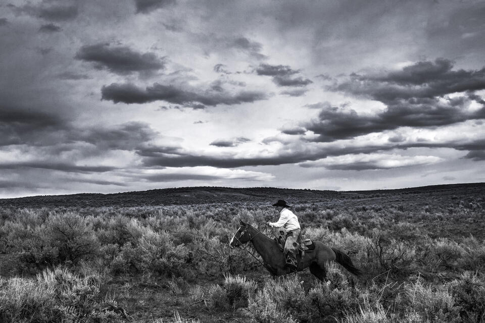 Range Rider | Cowboy Country, beyond the road. | Jess Lee Photography