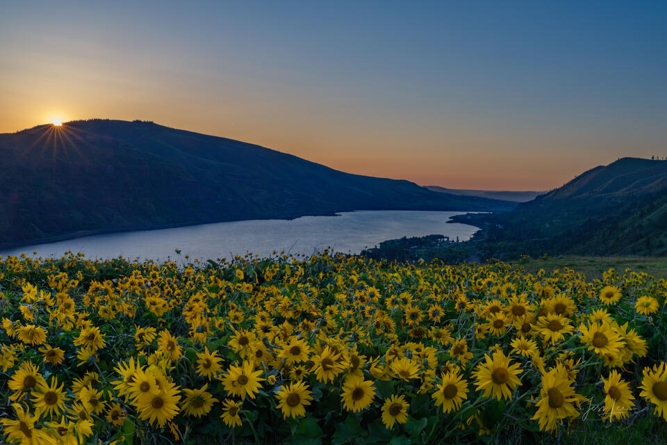 Gorge Morning | Rowena Crest, Oregon | Fine Art Photography by Jess Lee