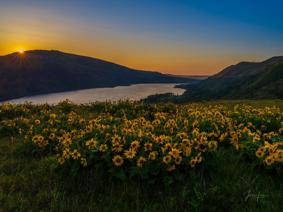 Rowena Sunrise | Rowena Crest, Oregon | Large Format Prints by Jess Lee
