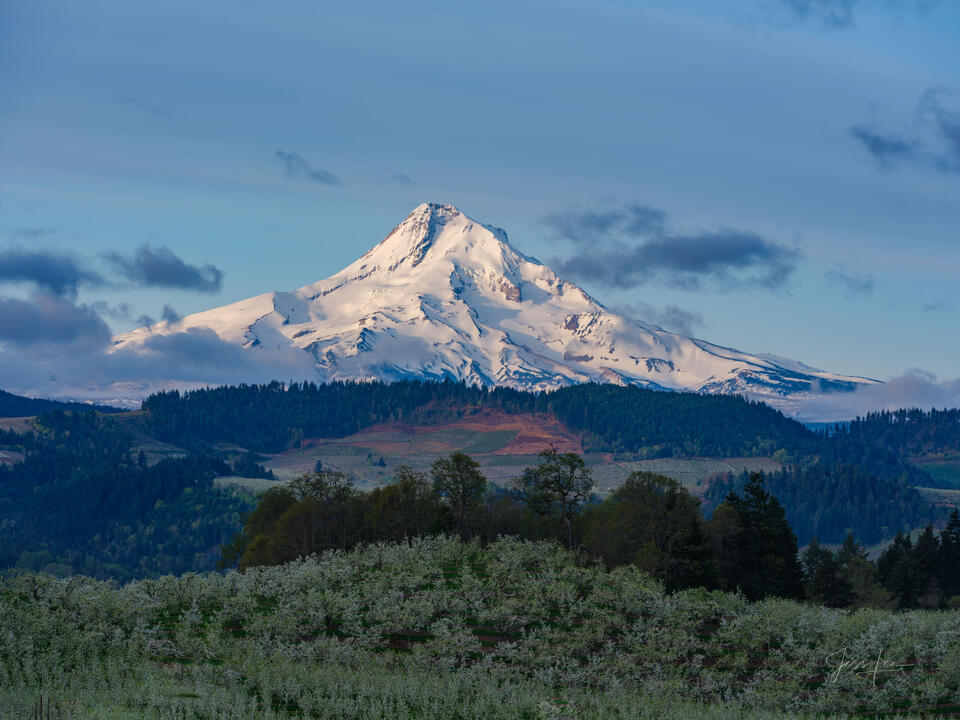Mt. Hood from the Hood River Valley | Oregon | USA | Fine Art ...