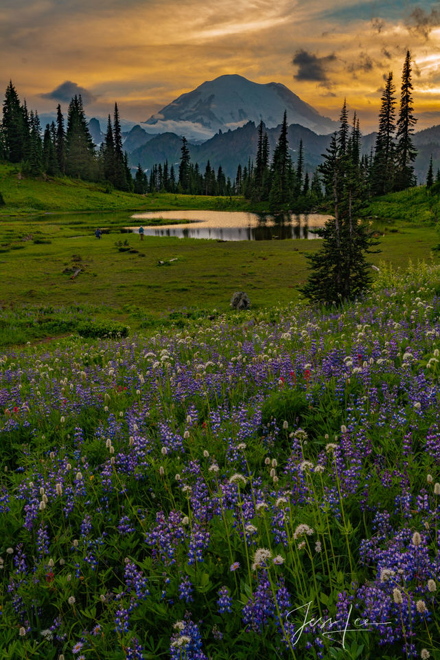 Washington State Nature Photos | Cascades, Rainforest, Seastacks ...