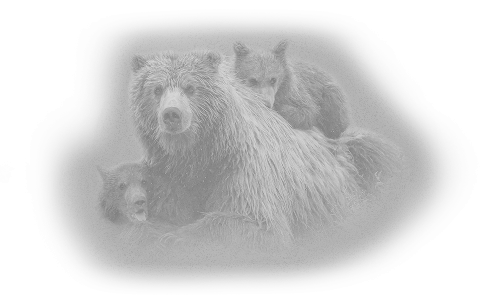 LIK- Fine Art Photography meets Marketing | Large Format Prints by Jess Lee