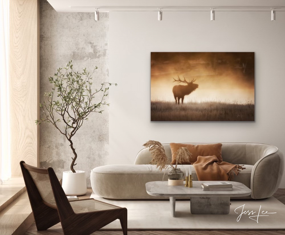 Large Fine Art Photography Prints For Sale | Jess Lee Photography