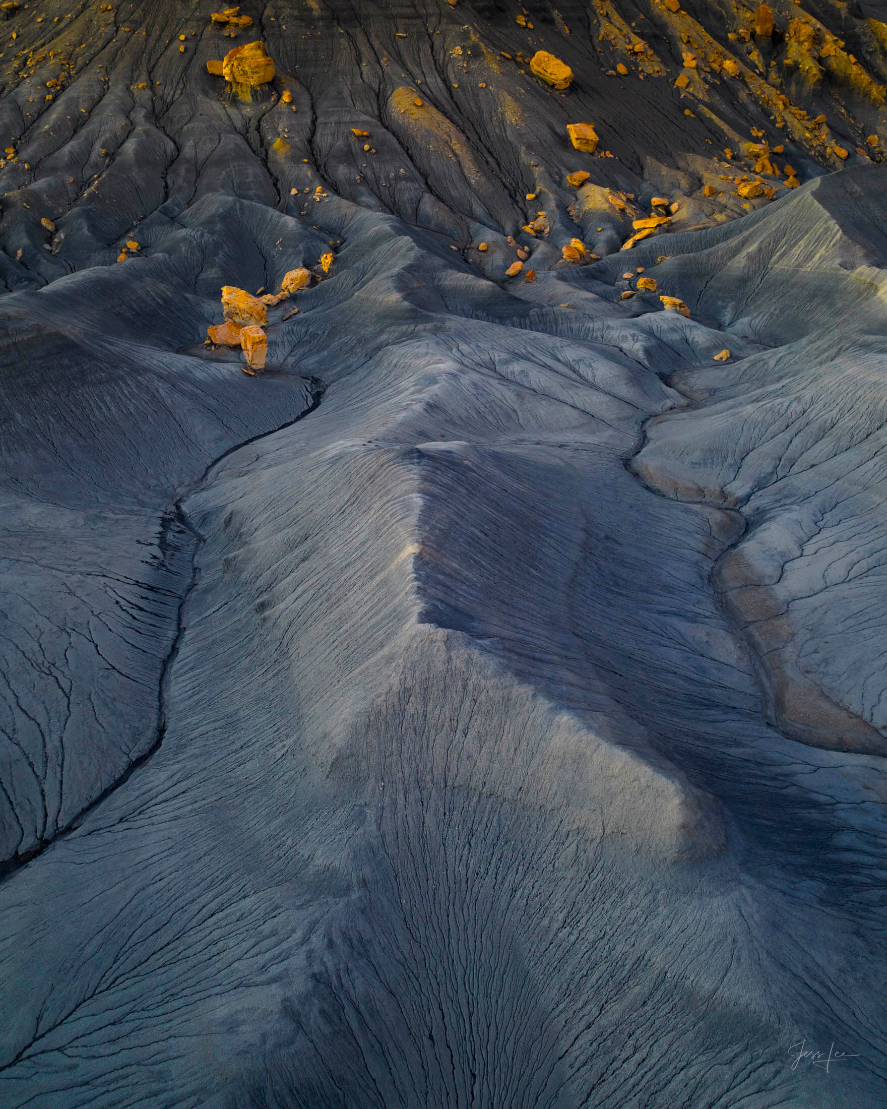 Large Format Prints by Jess Lee