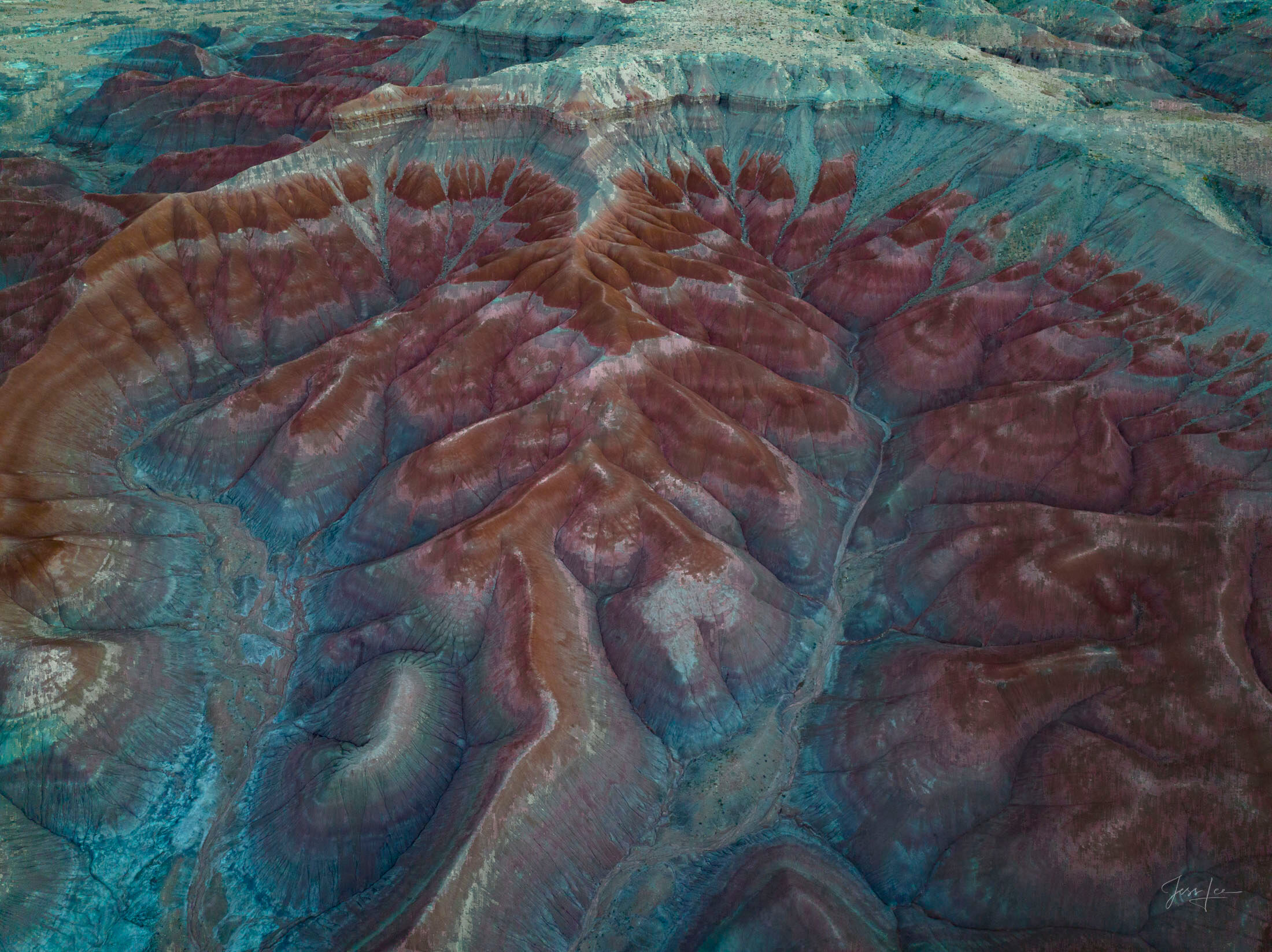 Large Format Prints by Jess Lee