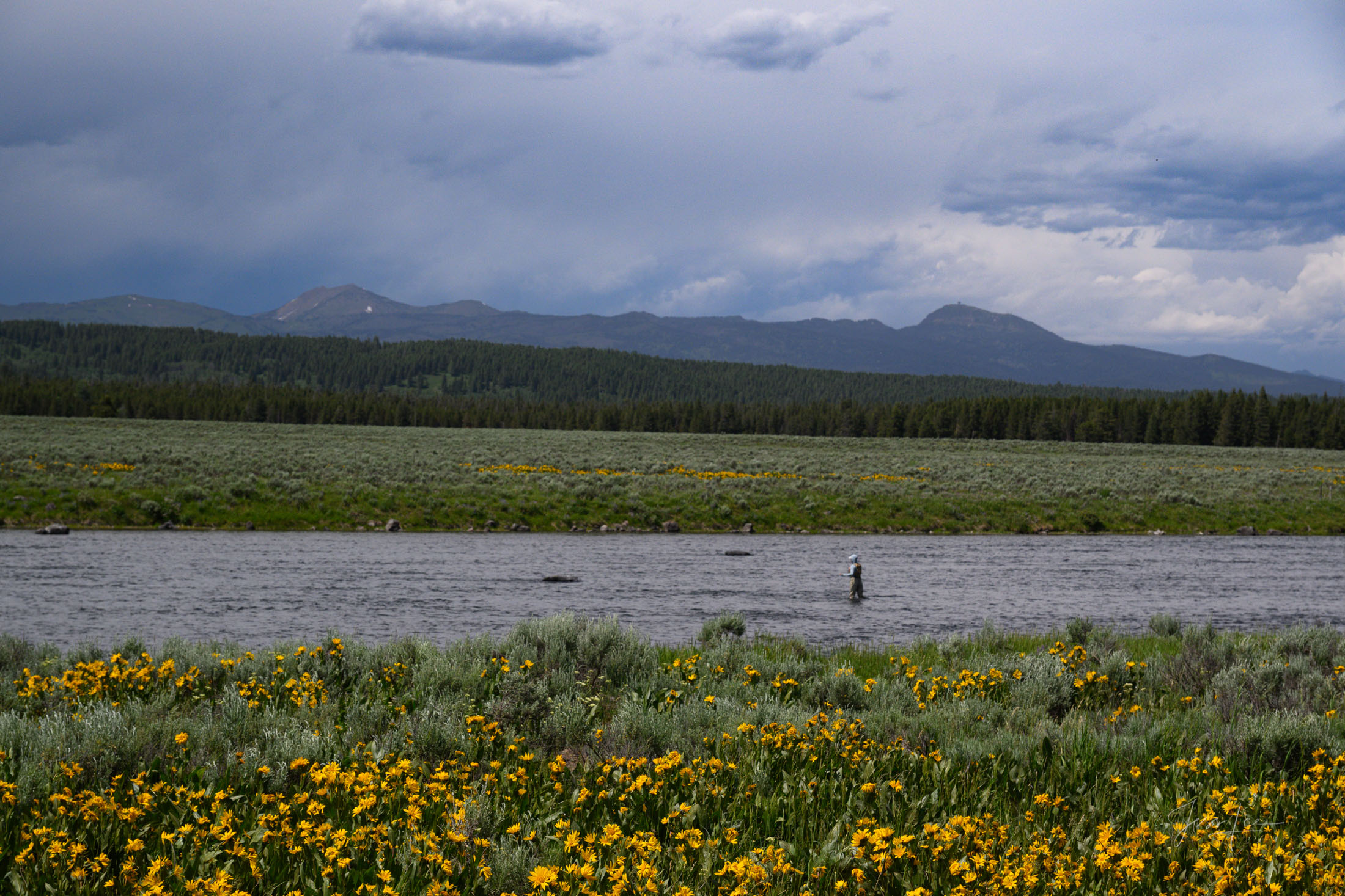 First Chance at Last Chance | Henrys Fork River, Idaho | Large Format ...