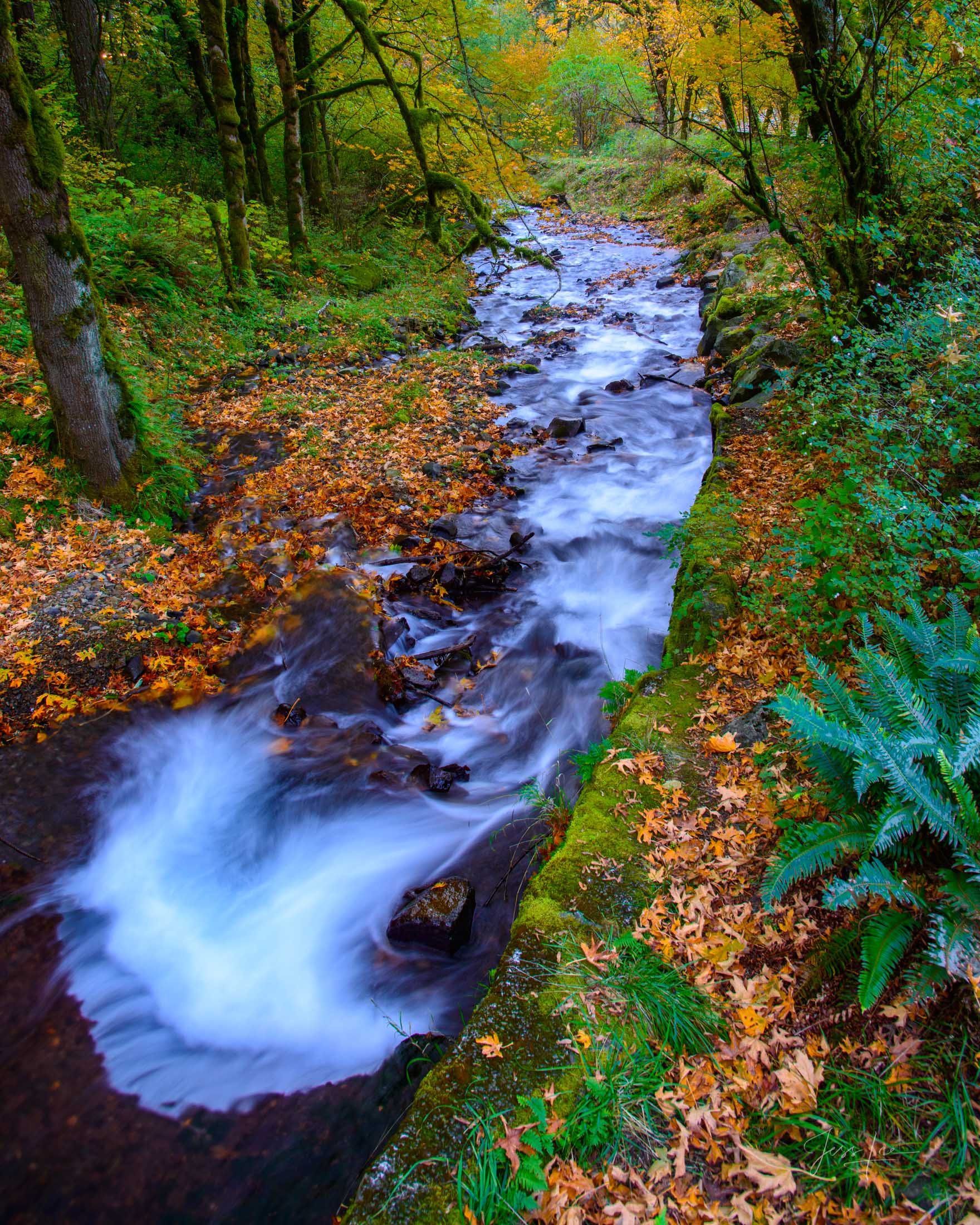MULTNOMAH Creek | Columbia River Gorge, Oregon | Large Format Prints by ...