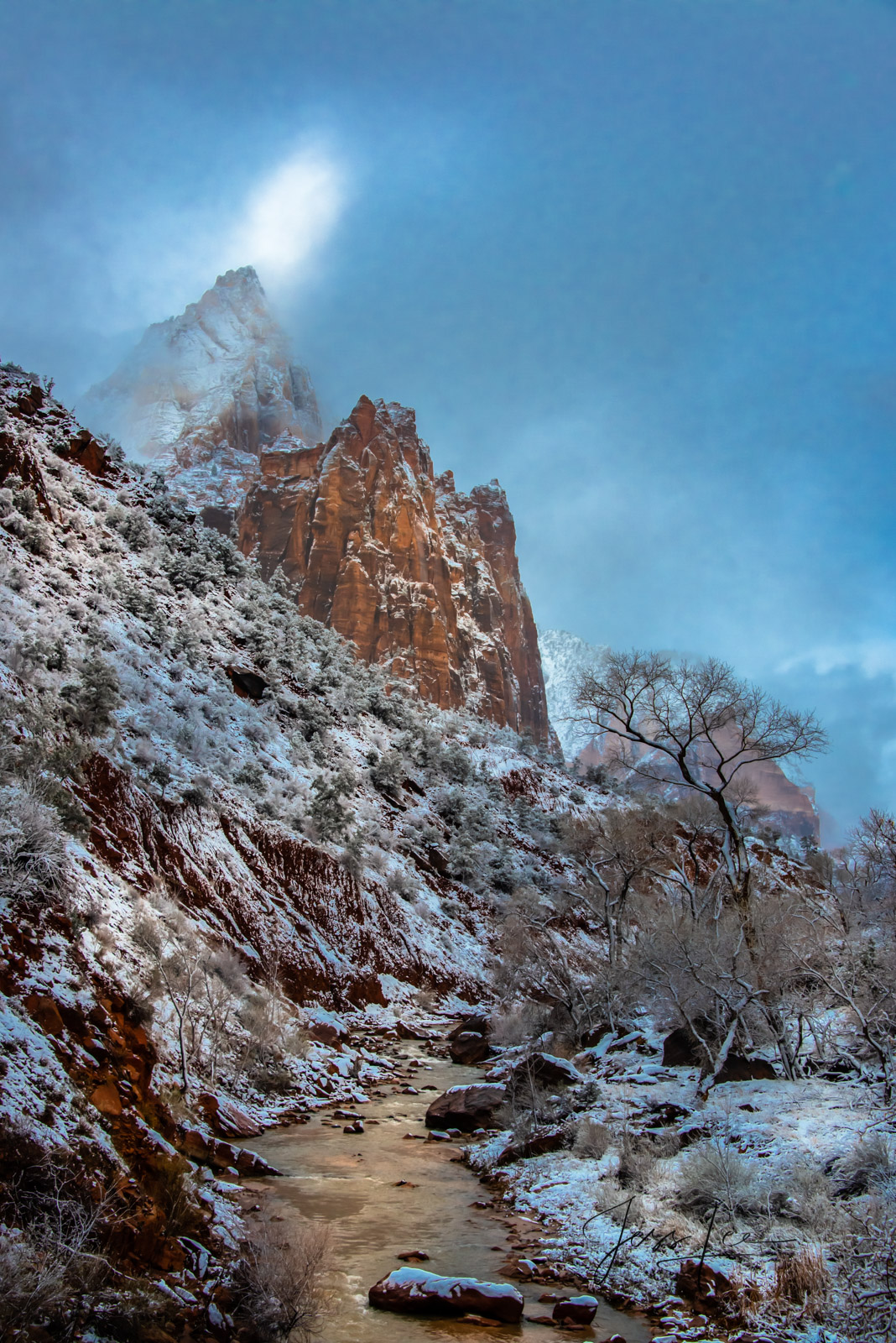 Zion National Park Guiding Light Photo | Large Format Prints by Jess Lee