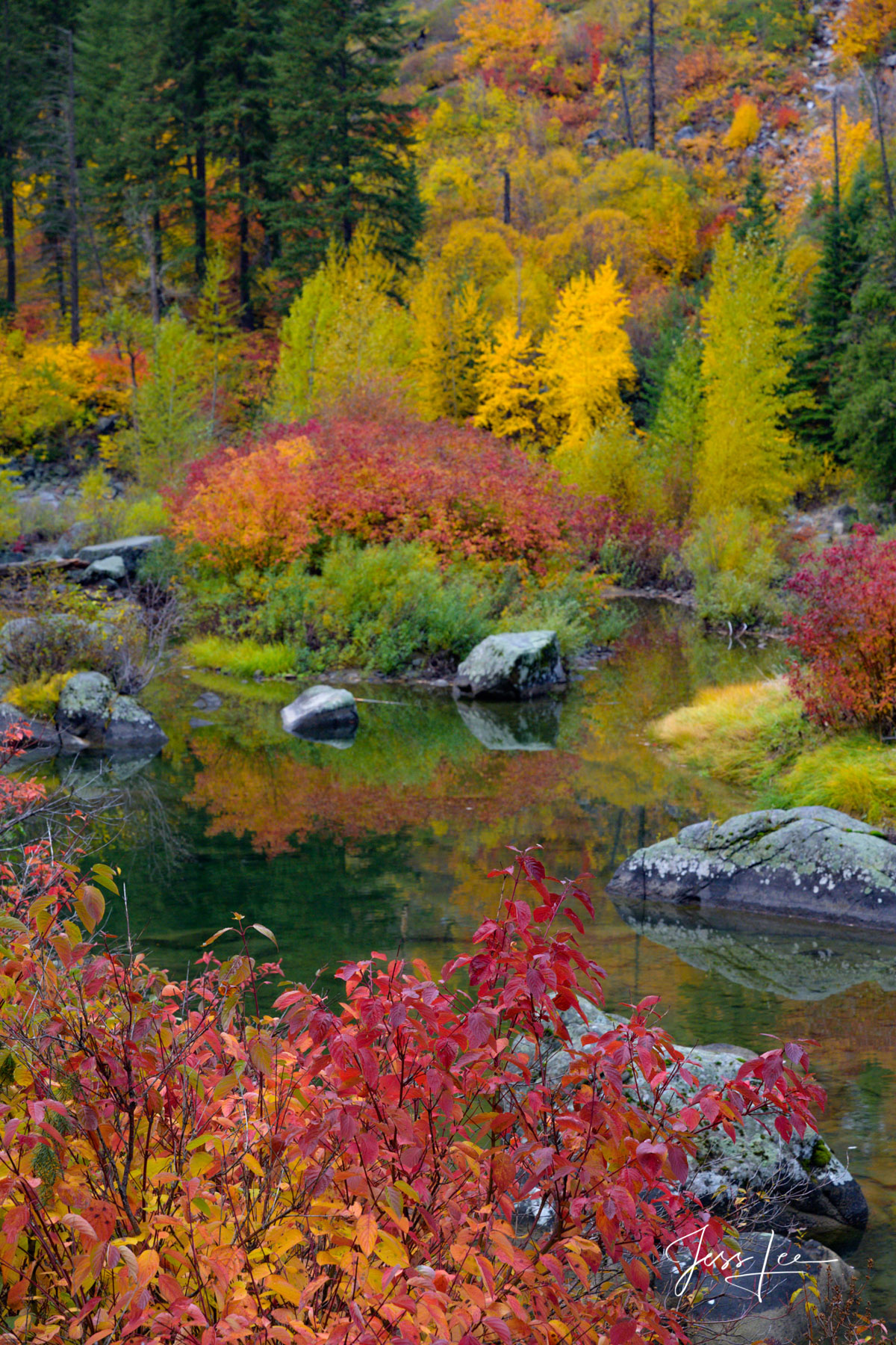 Red River | Washington | Large Format Prints by Jess Lee