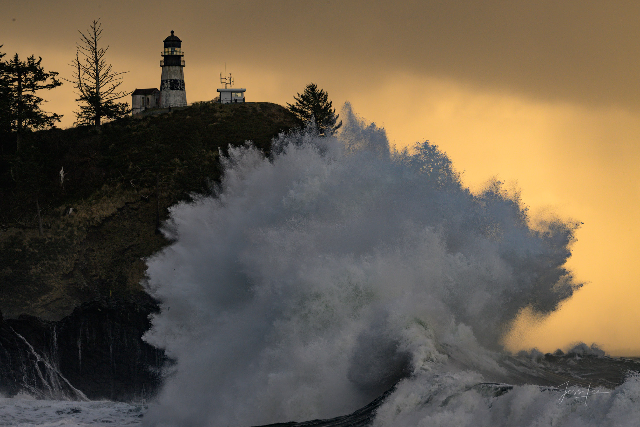 Ocean Photography Print of a Blooming Wave | Large Format Prints by ...