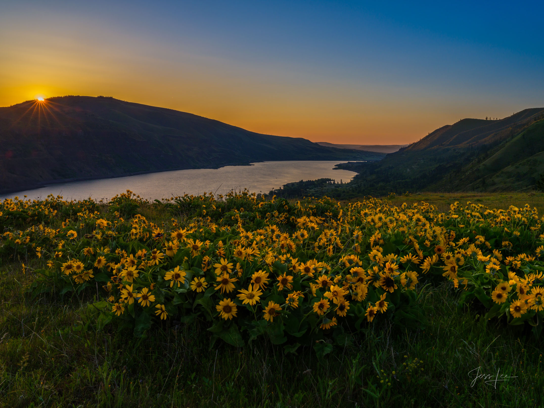 Rowena Sunrise | Rowena Crest, Oregon | Large Format Prints by Jess Lee