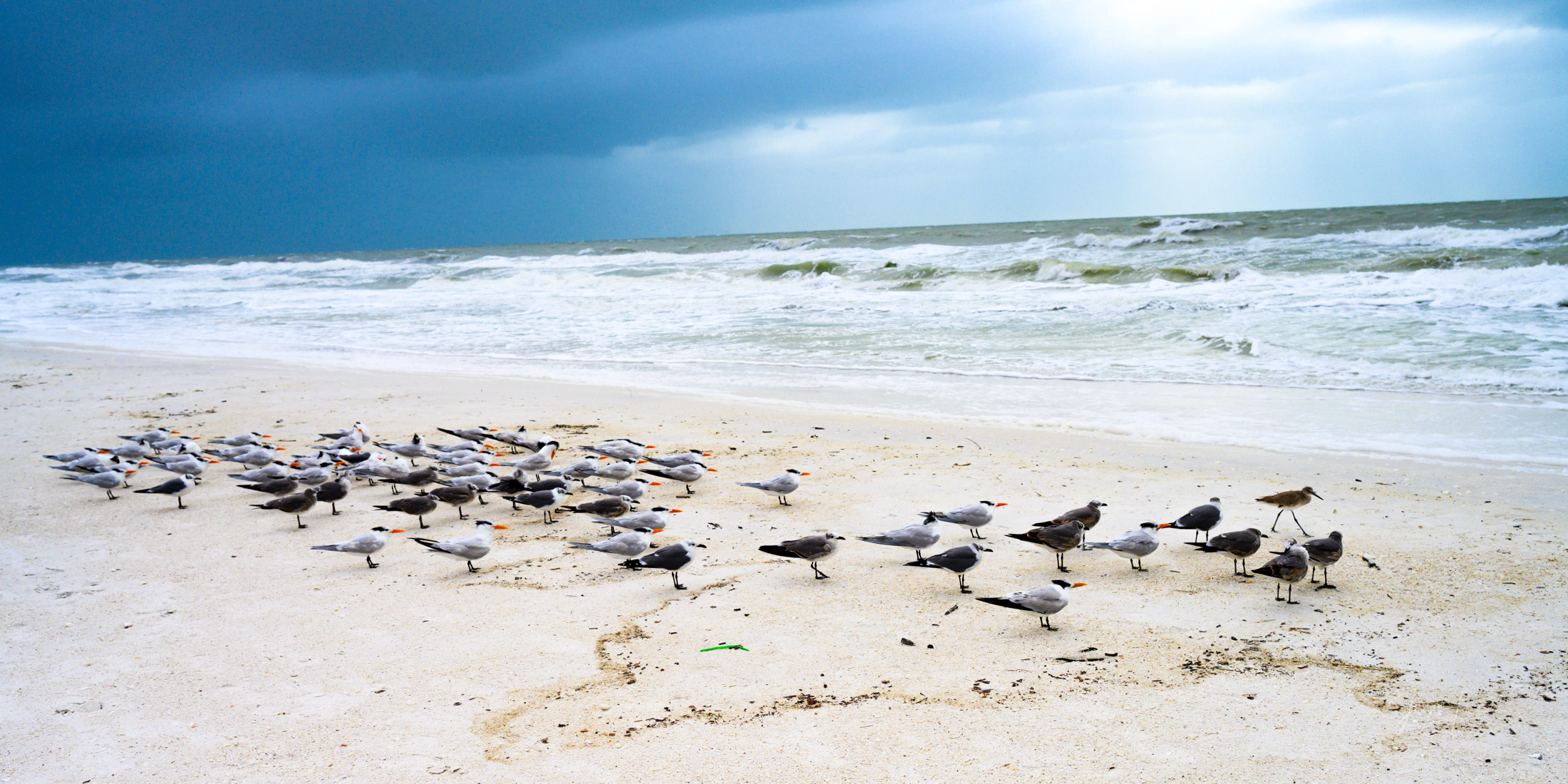 Fine Art Photos by Jess Lee