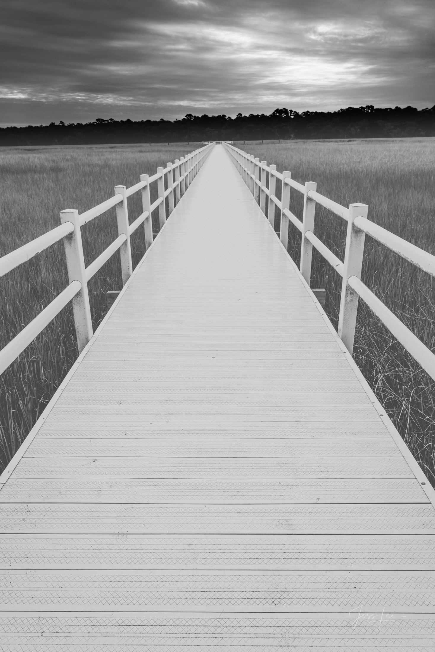 Large Format Prints by Jess Lee