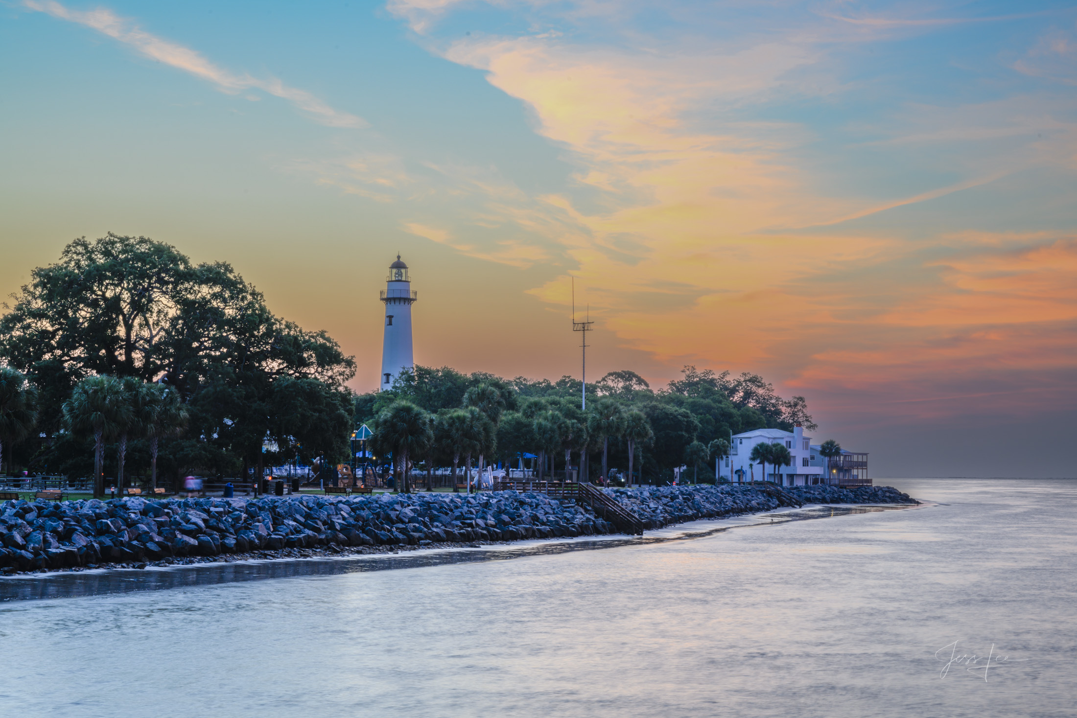 Large Format Prints by Jess Lee