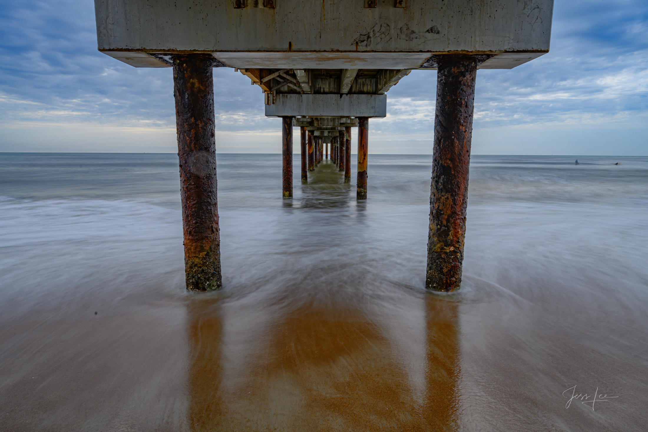 Large Format Prints by Jess Lee