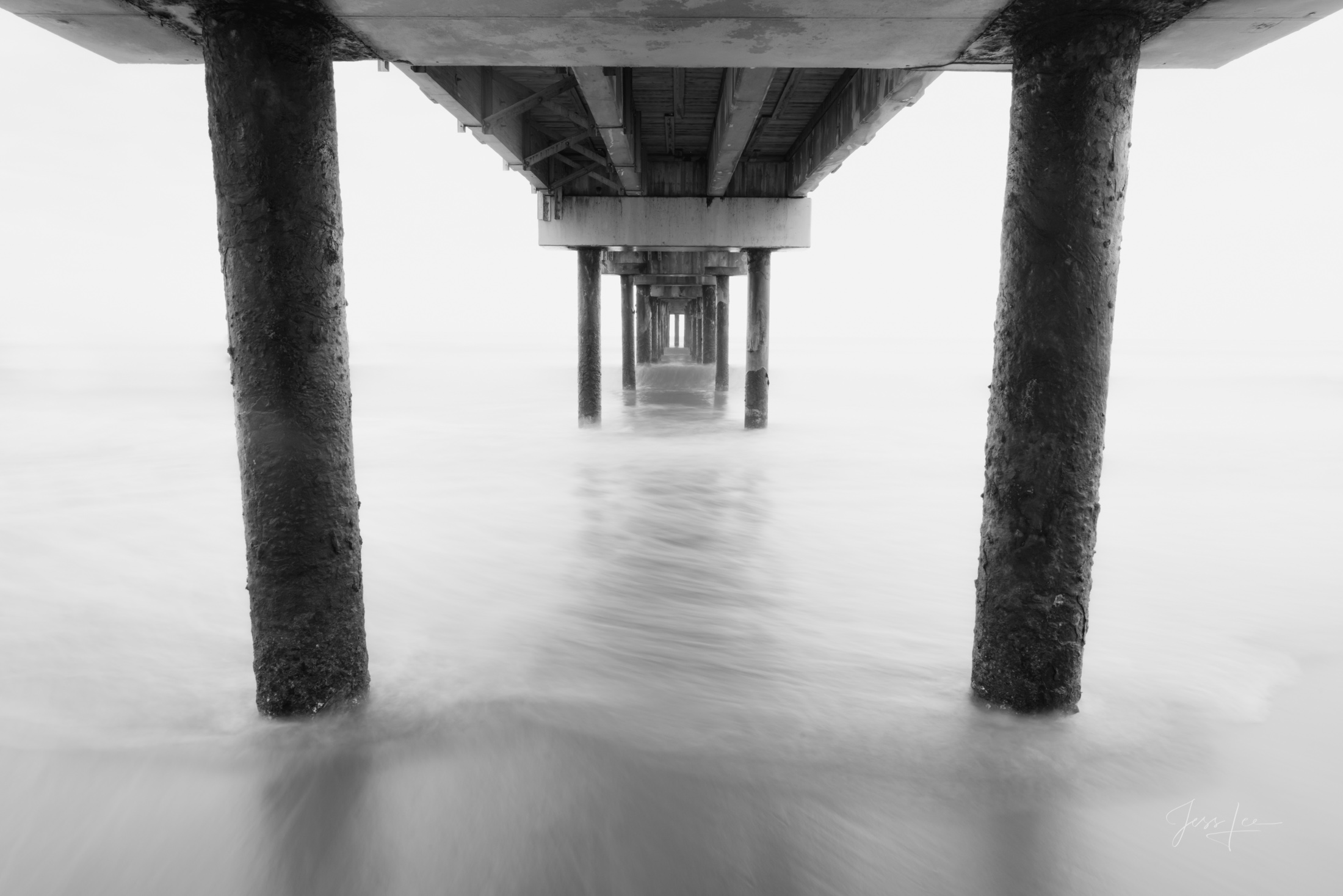 Fine Art Photos by Jess Lee