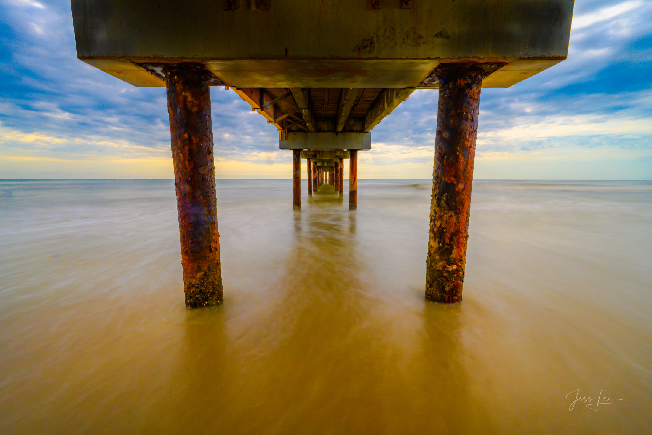 Large Format Prints by Jess Lee