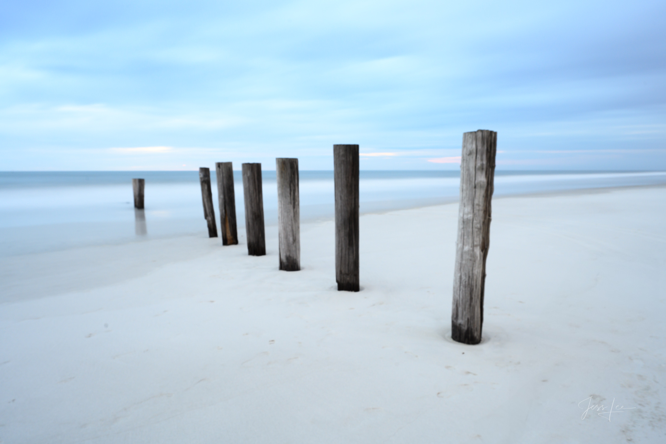 Large Format Prints by Jess Lee