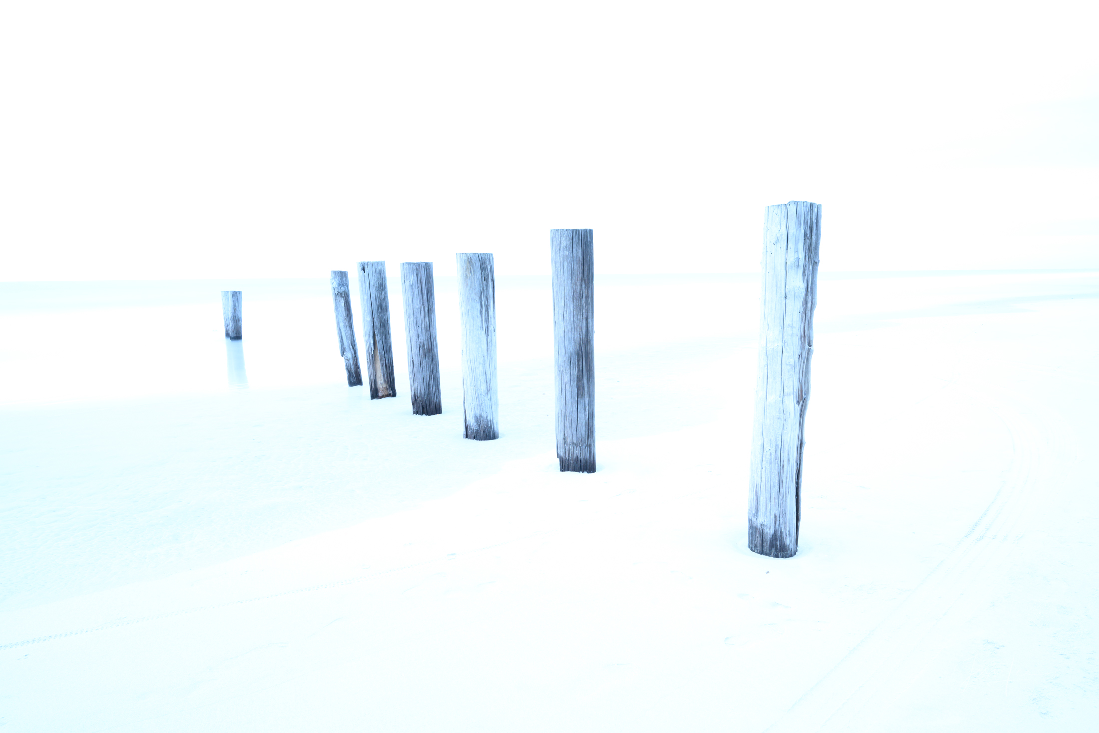 Large Format Prints by Jess Lee